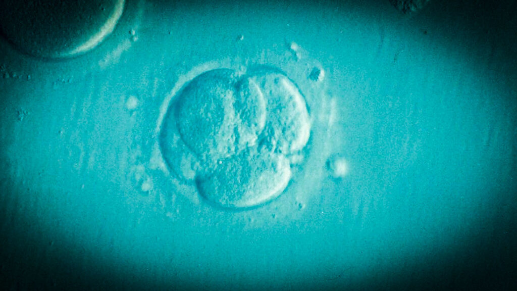 Un altro appello per abolire la regola dei 14 giorni per la ricerca ...