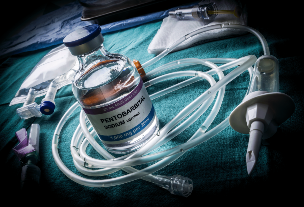 Eutanasia, «morte rapida e indolore»: più facile a dirsi che a farsi ...