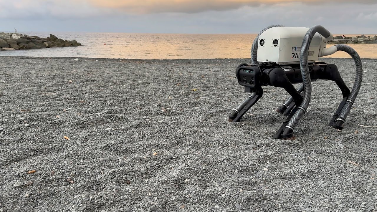 Robocani italiani per pulire le spiagge – RENOVATIO 21