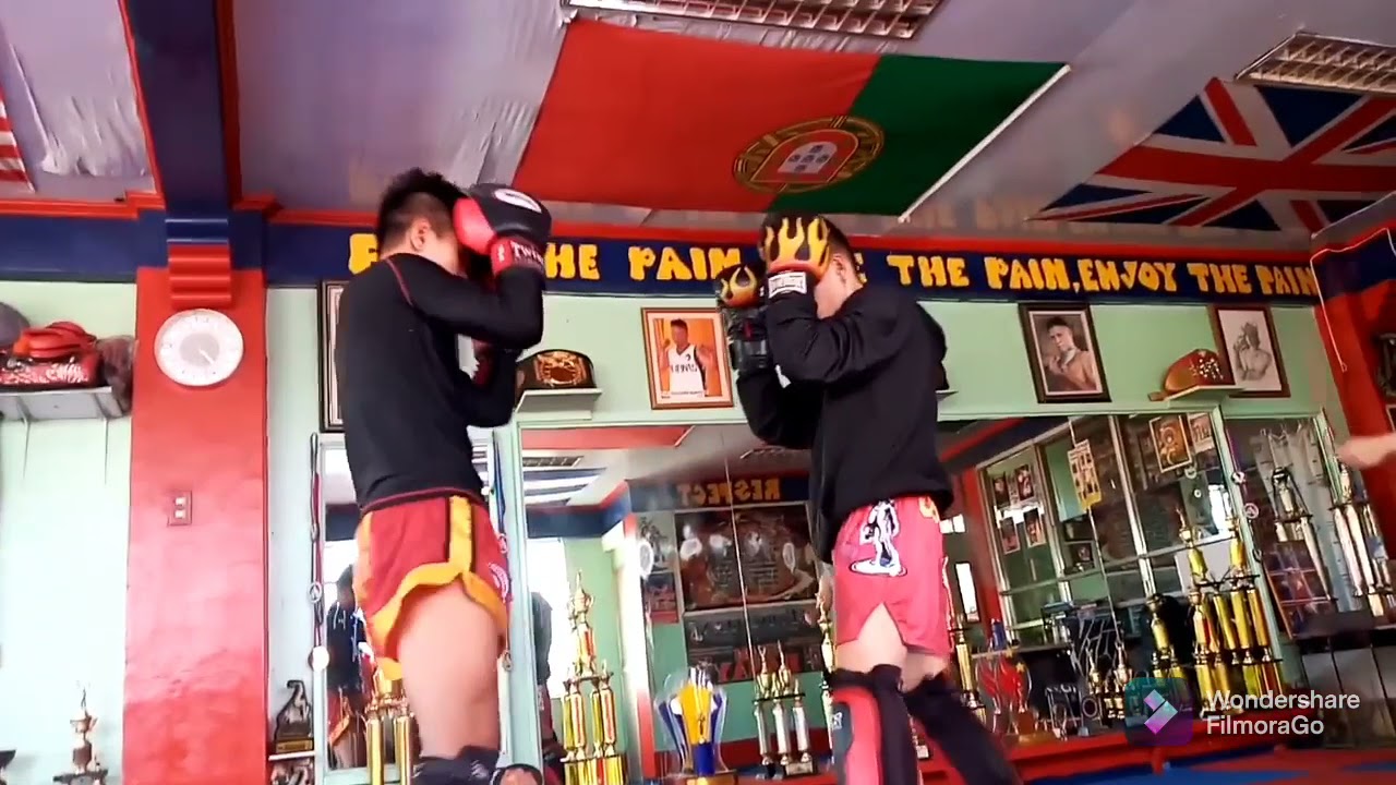 Storia e forme della kickboxing – RENOVATIO 21