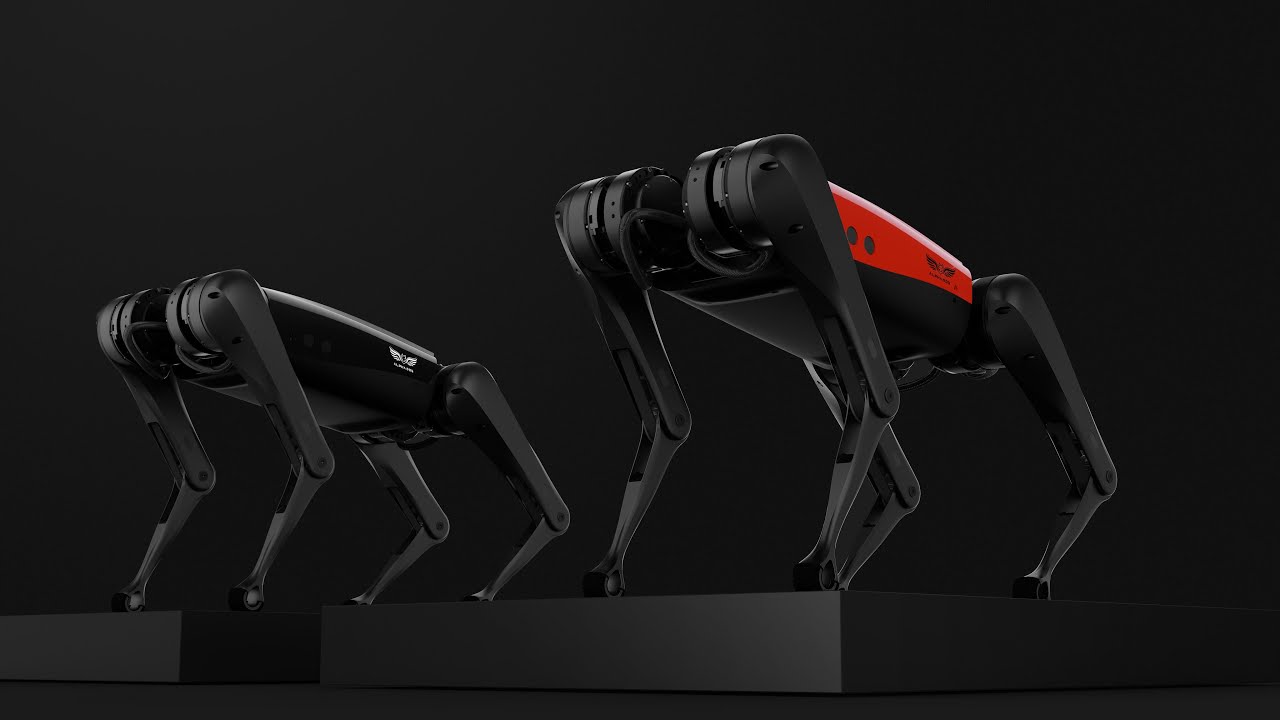 Armata di robocani cinesi pronti all'azione – RENOVATIO 21